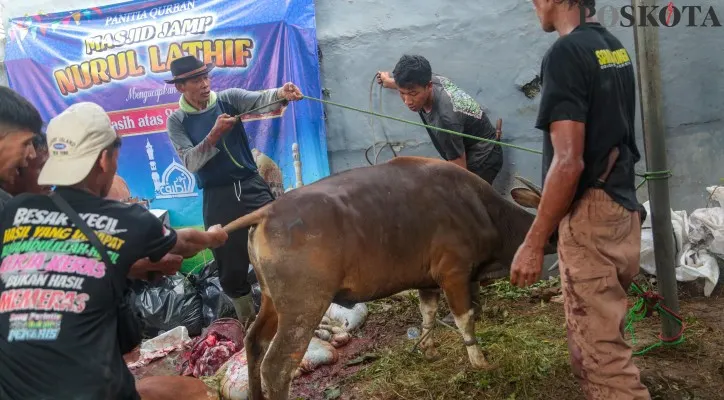Poskota Salurkan Hewan Qurban Untuk Masyarakat di Masjid Jami Nurul ...