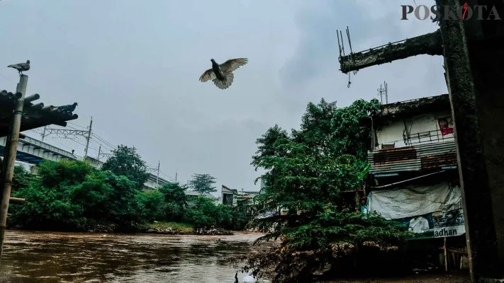 Pemprov Dki Jakarta Berencana Normalisasi Kali Ciliwung Sepanjang 17 Km